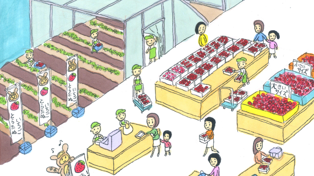 イチゴ農園で働く少年たち｜akisen｜coconalaブログ